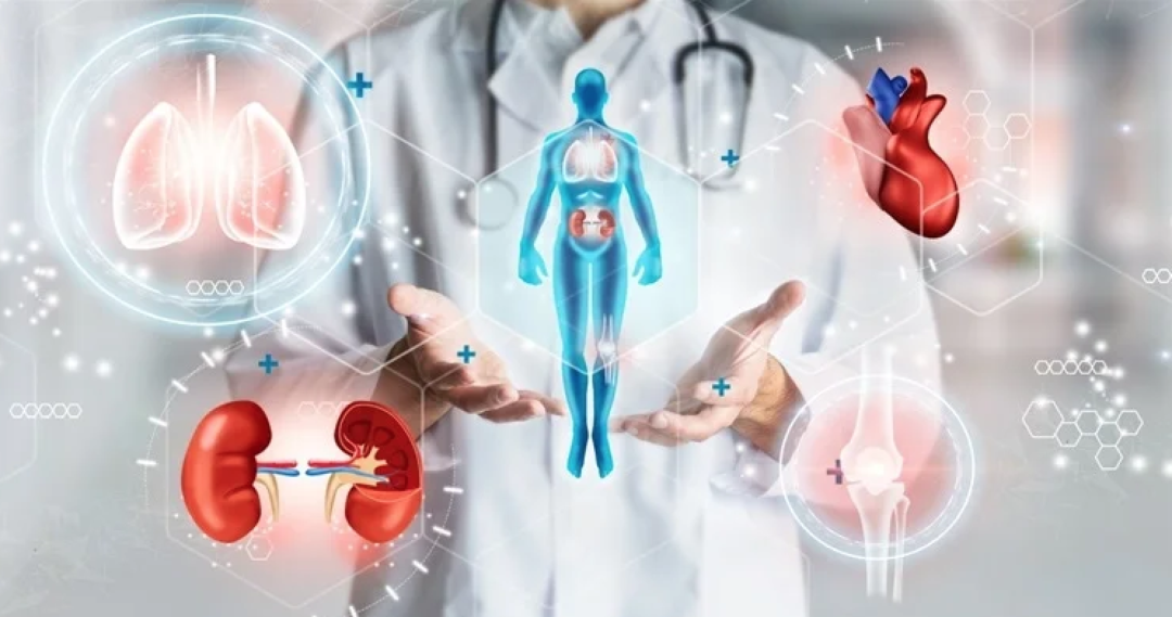 Unlocking the Mysteries of How Our Organs Age: A Groundbreaking Study ...