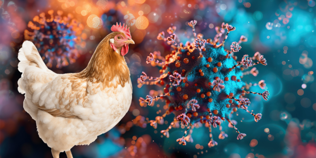 Diving Deeper into H5N1 Avian Influenza: Testing, Lessons From COVID-19 ...